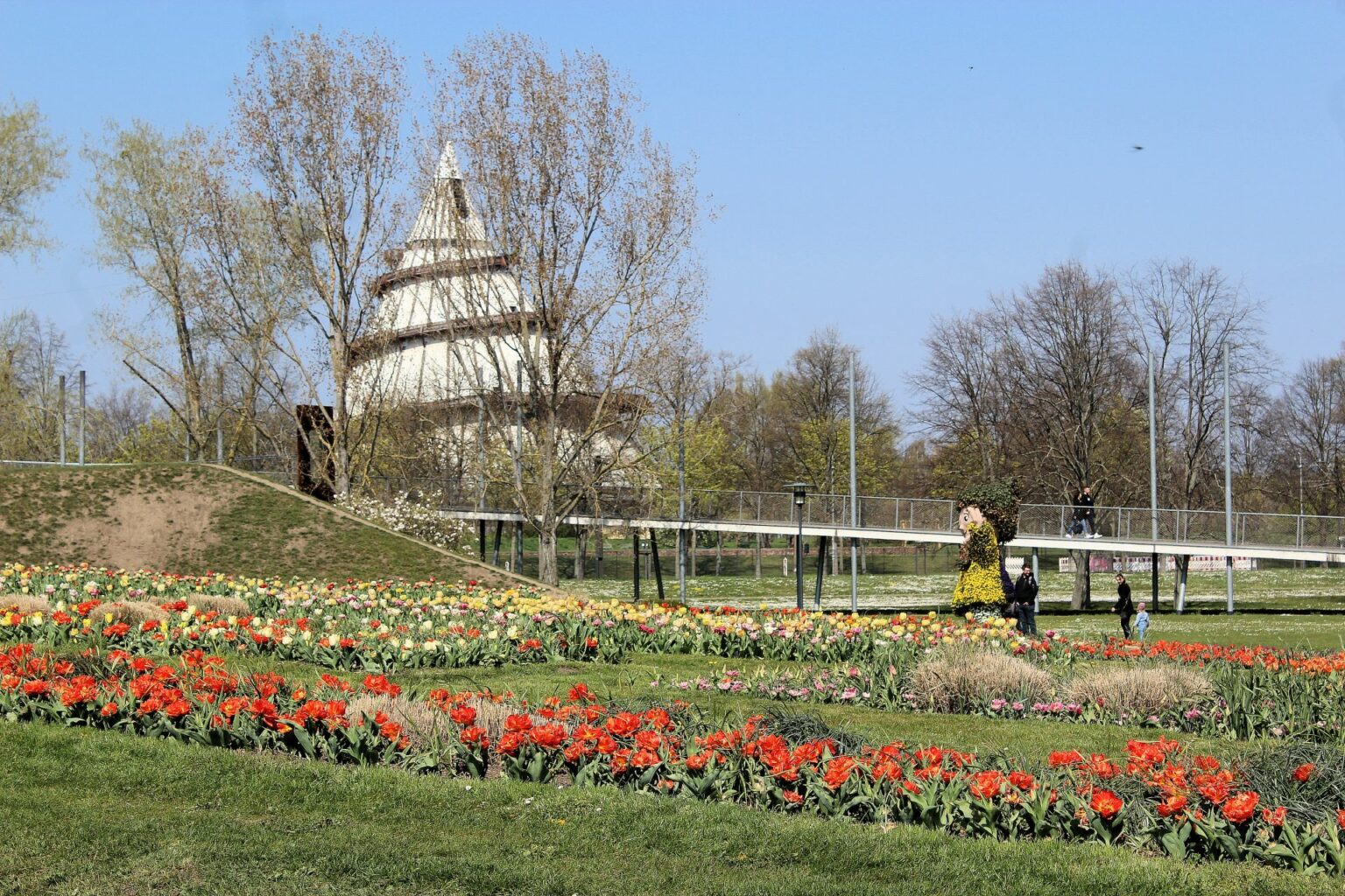Discovering Magdeburg’s Green Spaces: A Guide for Students and Nature ...